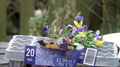 Heres The Table Stock Videos – Royalty-Free HD & 4K Videos | Pond5