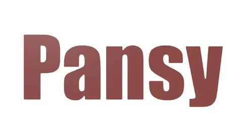Pansy Animated Word Cloud On White Backg... | Stock Video | Pond5