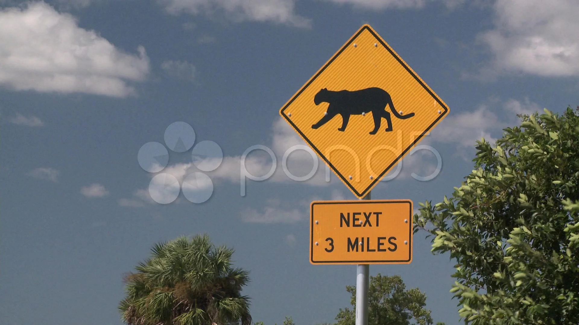 Naples Florida Panther Crossing