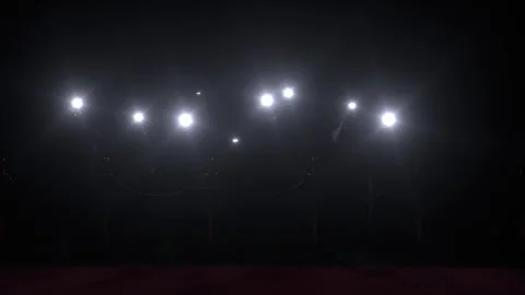 Paparazzi using flash photography at red... | Stock Video | Pond5