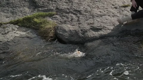 Paper Boat On River. Origami Ship Sailin... | Stock Video | Pond5