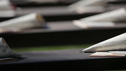 The Paper Petal Stock Videos – Royalty-Free HD & 4K Videos