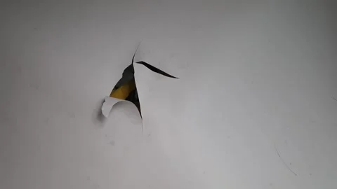 Tearing Paper Animation Stock Footage ~ Royalty Free Stock Videos | Pond5