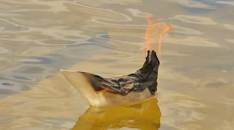 Did They Come? Stock Videos – Royalty-Free HD & 4K Videos | Pond5