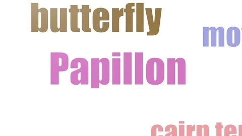 Papillon Word Cloud Animated Isolated On... | Stock Video | Pond5