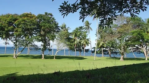 Grass Png Stock Video Footage | Royalty Free Grass Png Videos | Pond5
