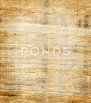 Papyrus paper background: Royalty Free #12558422