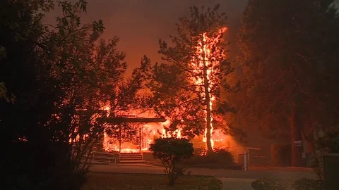 Paradixer Video Stock Videos – Royalty-Free HD & 4K Videos