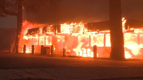 Paradixer Video Stock Videos – Royalty-Free HD & 4K Videos