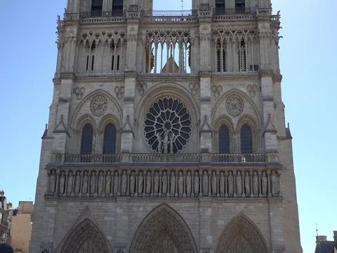 Paris Rose Stock Videos – Royalty-Free HD & 4K Videos