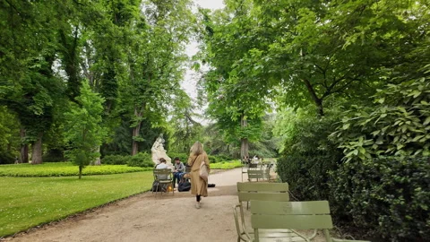 Tree Lined Walk Stock Videos – Royalty-Free HD & 4K Videos | Pond5