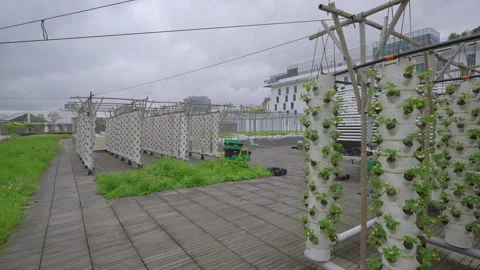 Paris green roof garden for vacant rooft... | Stock Video | Pond5