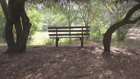 Park Bench Back View Sawgrass Park Saint... | Stock Video | Pond5
