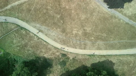 Overhead Path Stock Footage ~ Royalty Free Stock Videos | Pond5