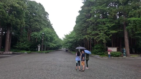 Park rain big green trees Japan, people ... | Stock Video | Pond5