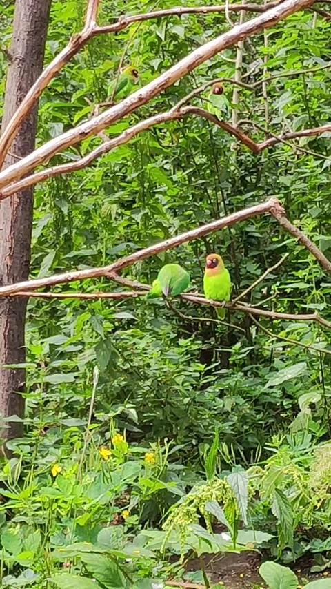 Too Much Fun Stock Videos – Royalty-Free HD & 4K Videos