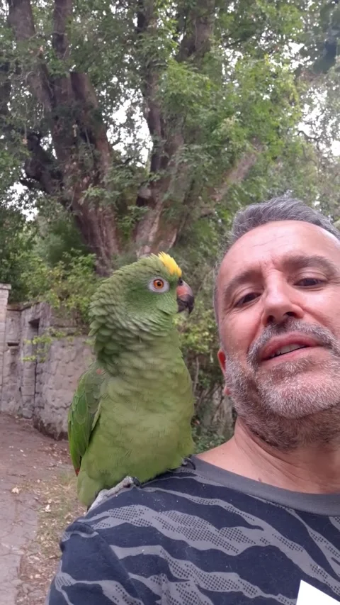 Animl Sounds Stock Video Footage | Royalty Free Animl Sounds Videos | Pond5