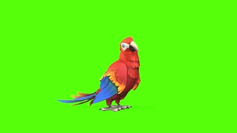 Parrot Talking Green Screen Animation 3D... | Stock Video | Pond5