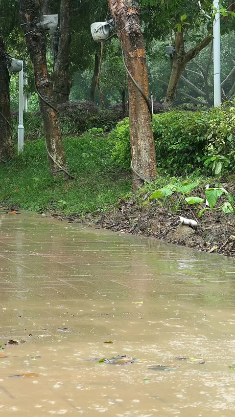 A But Soun Stock Videos – Royalty-Free HD & 4K Videos