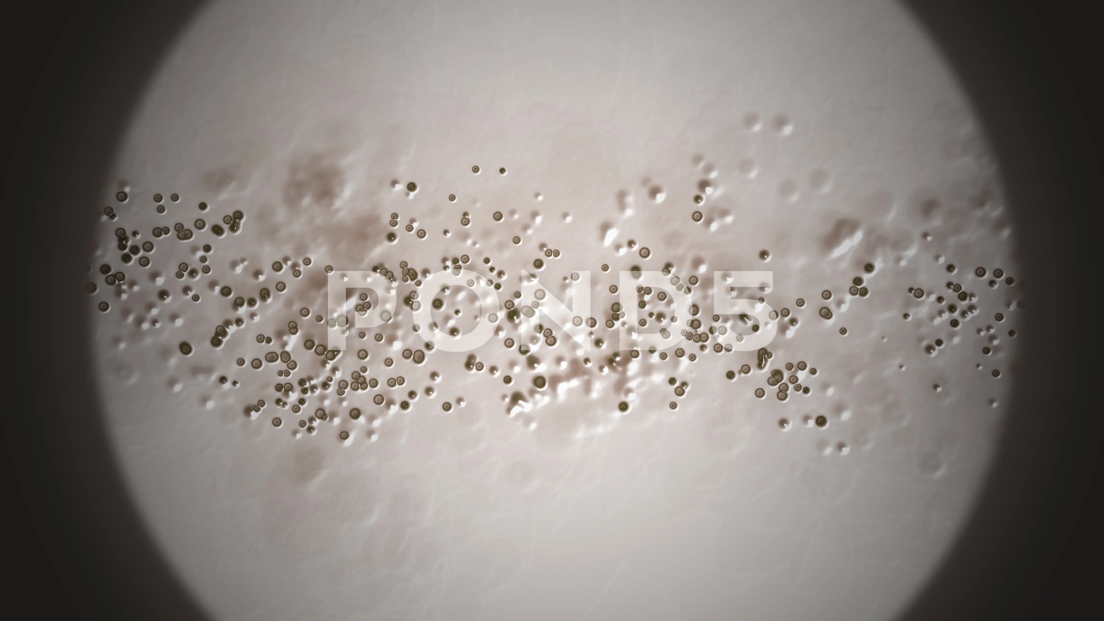 Liquid Particles Animation