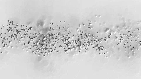 particle animation under the microscope | Stock Video | Pond5