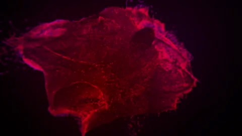 Particle Blast Red Abstract Background | Stock Video | Pond5