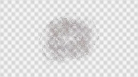 Particle Alpha Channel Animation Stock Video Footage | Royalty Free ...