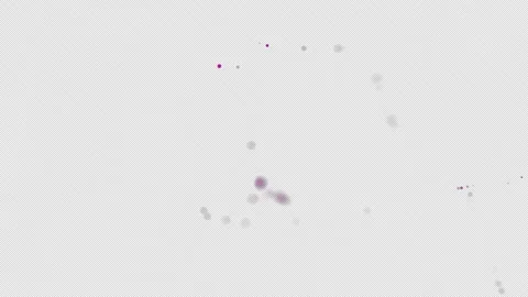 Particle Alpha Channel Animation Stock Video Footage | Royalty Free ...