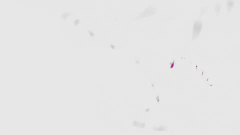 Particle Alpha Channel Animation Stock Video Footage | Royalty Free ...