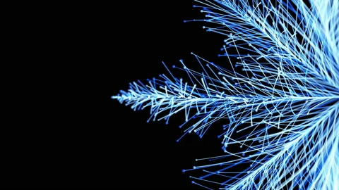 Particle flowers 3d abstract animation | Stock Video | Pond5