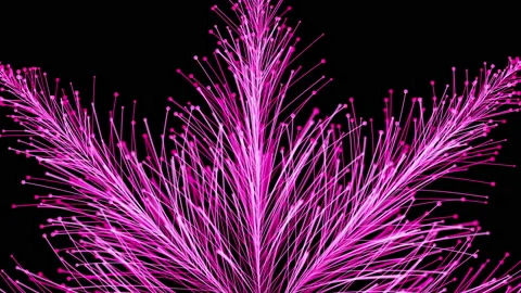Particle flowers 3d abstract animation | Stock Video | Pond5