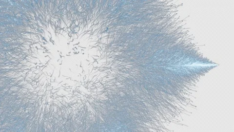 Particle trail in flower shape transpare... | Stock Video | Pond5