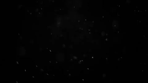 Particles and dust on alpha black backgr... | Stock Video | Pond5