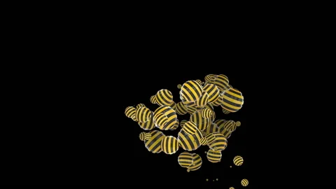 Particles animation of little black and ... | Stock Video | Pond5