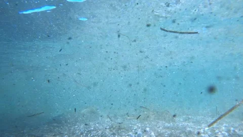 Particles floating in calm shallow water... | Stock Video | Pond5
