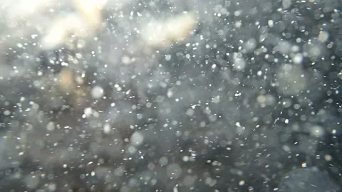 Snow Of Particles Stock Footage ~ Royalty Free Stock Videos | Pond5