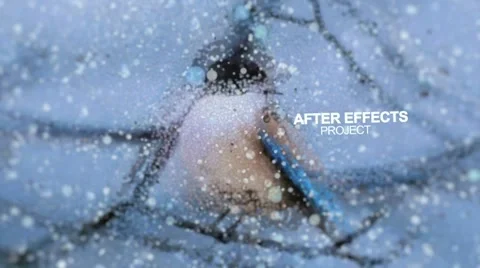 After Effects Template: Particles Slideshow #58120192