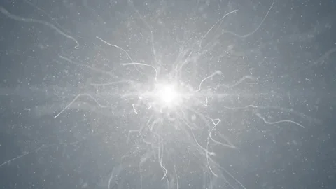 Particles white event business clean bri... | Stock Video | Pond5