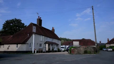 Partridge Stock Video Footage | Royalty Free Partridge Videos | Pond5