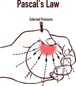 Pascals Law infographic diagram vector illustration: Royalty Free ...