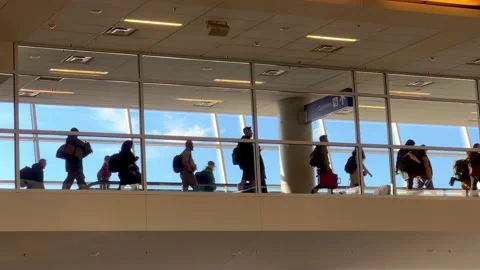 Passengers arriving at the Airport - Dal... | Stock Video | Pond5