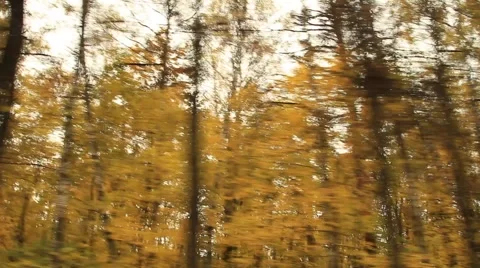 Passing by a park with Fall foliage - HD... | Stock Video | Pond5