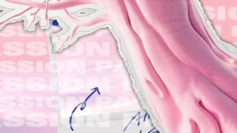 Visualize You Stock Videos – Royalty-Free HD & 4K Videos | Pond5