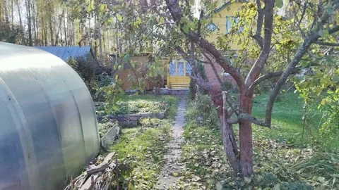 Yellow Brick Path Stock Videos – Royalty-Free HD & 4K Videos | Pond5