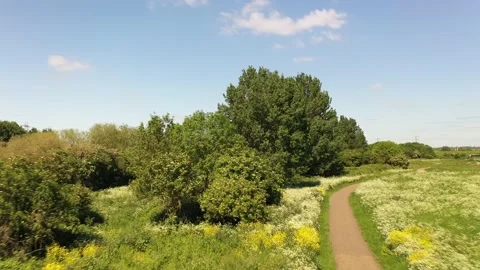 Path leading through white and yellow bl... | Stock Video | Pond5