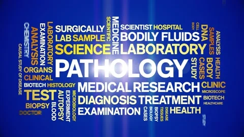 Pathology animated word cloud,animation ... | Stock Video | Pond5