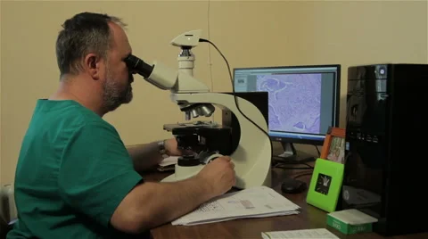 Pathologist Stock Video Footage | Royalty Free Pathologist Videos | Pond5