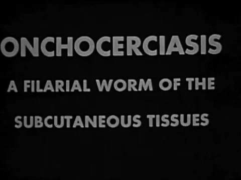 Rash Filial Worm Stock Footage ~ Royalty Free Stock Videos | Pond5
