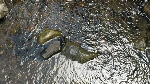 Rock Water Flow Stock Footage ~ Royalty Free Stock Videos | Pond5