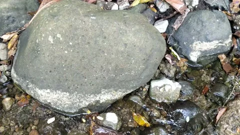 Rock Water Flow Stock Footage ~ Royalty Free Stock Videos | Pond5
